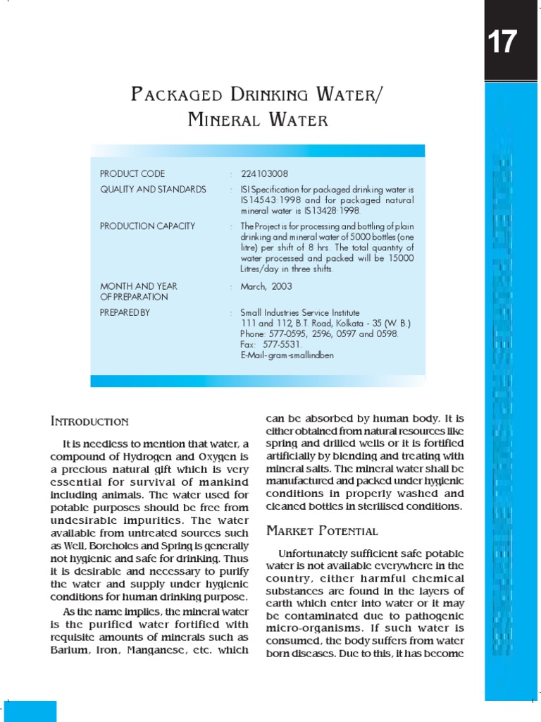 Mineral Water Project | PDF