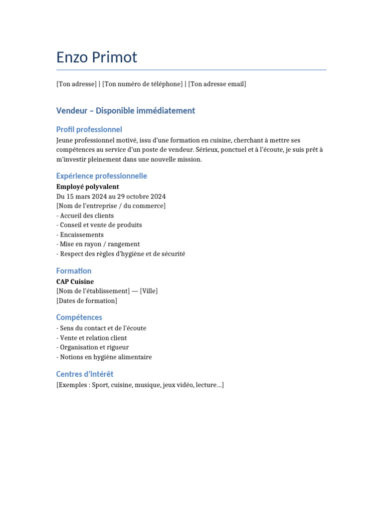 CV Enzo Primot | PDF