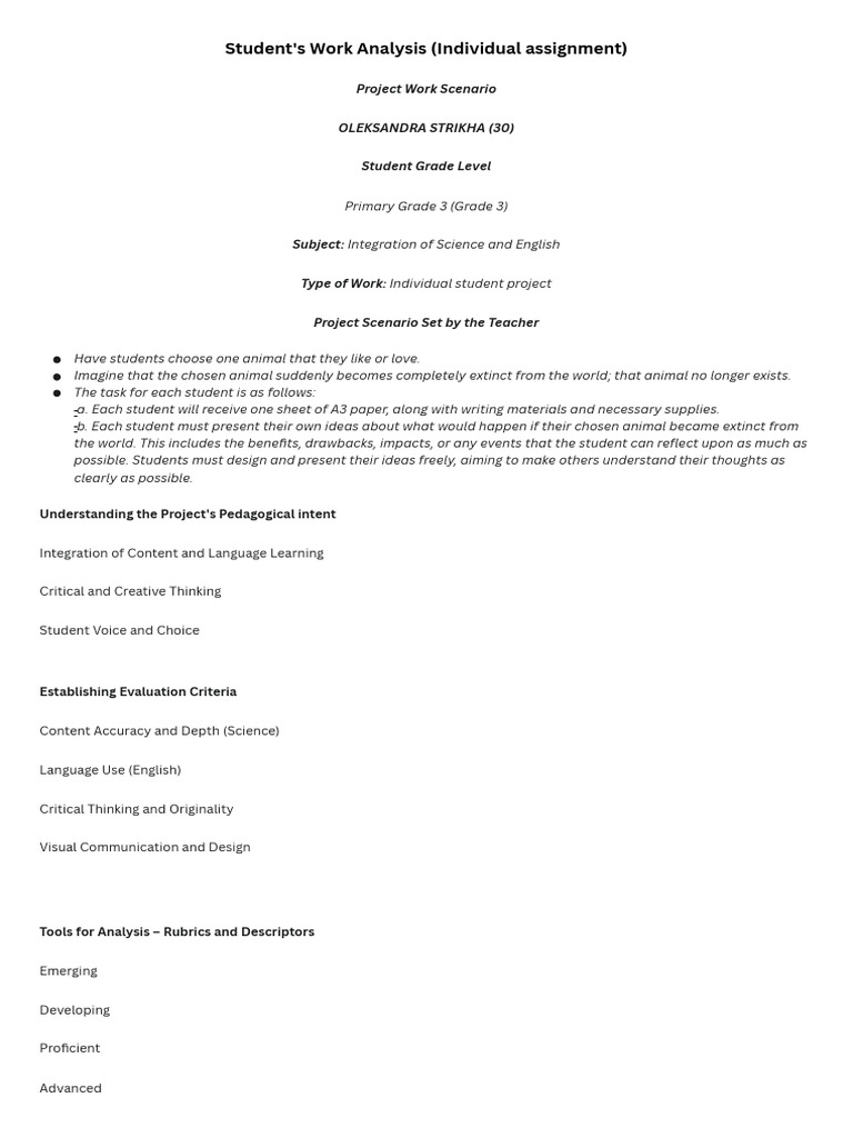 Student's Work Analysis (Individual Assignment) | PDF | Thought ...