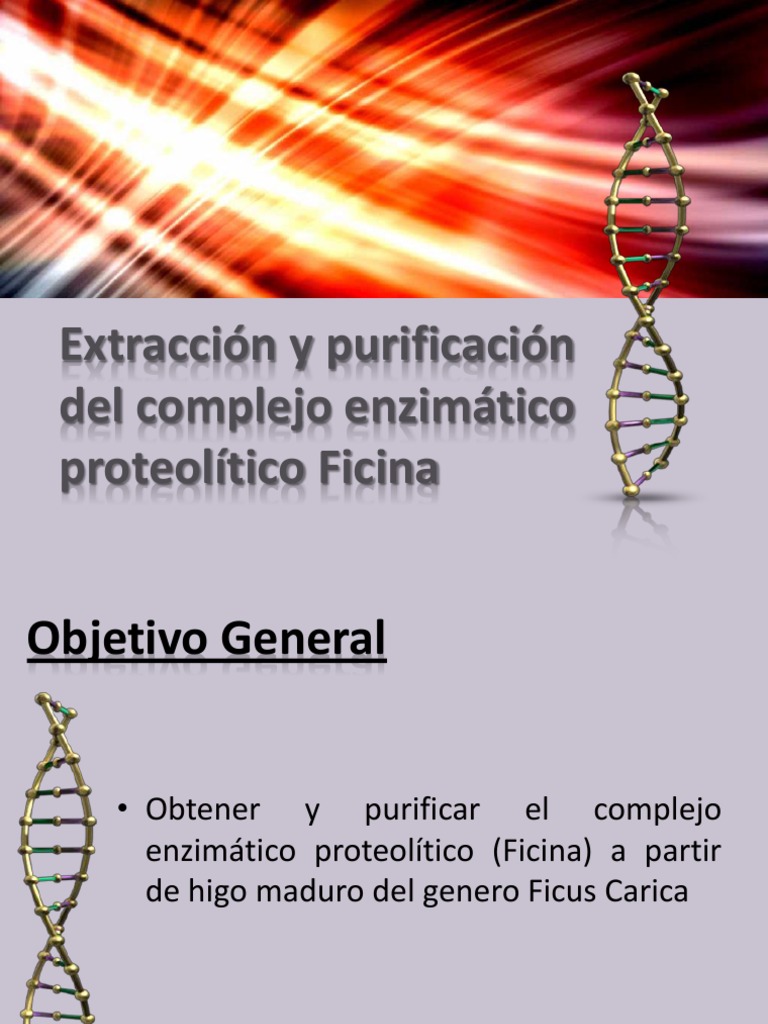 Bio Enzima Ficina | PDF