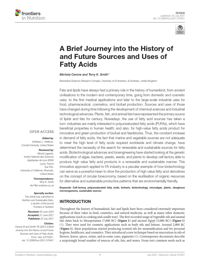 A Brief Journey Into The History of and Future Sources and Uses of ...