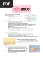 Sinaps dan Neurotransmitter: Fungsi dan Mekanisme | PDF
