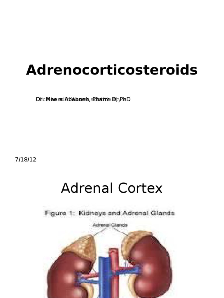 Adrenocorticosteroids & Adrenocortical Antagonists | PDF | Cortisol ...