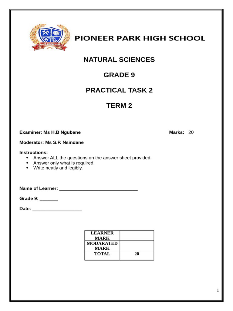 GRD 9 Practical Task 2 NS | PDF
