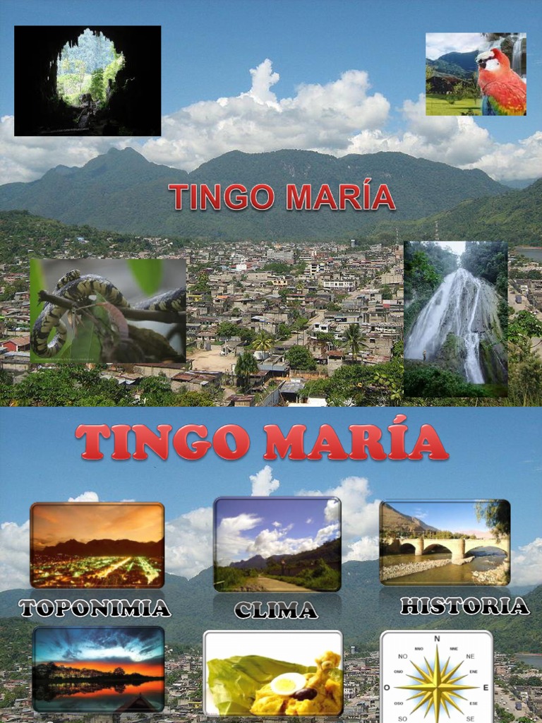 Tingo Maria | PDF
