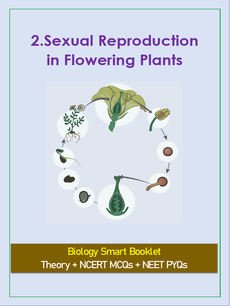 2.sexual Reproduction in Flowering Plants | PDF | Seed | Pollination