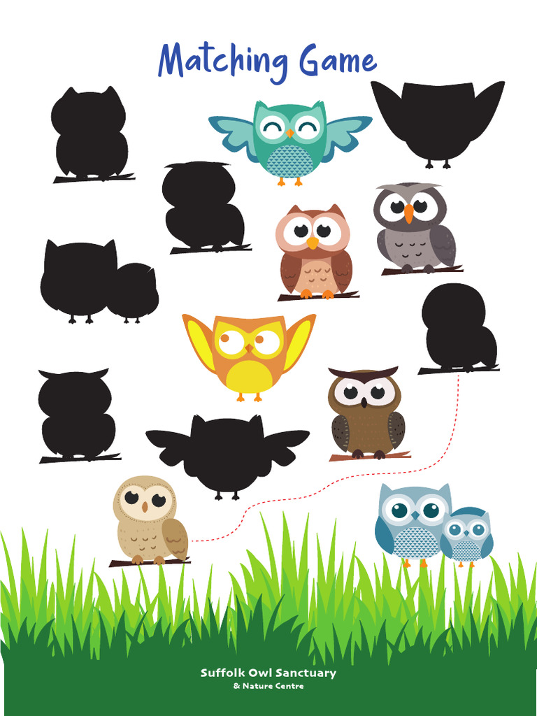 Owl Matching Game | PDF