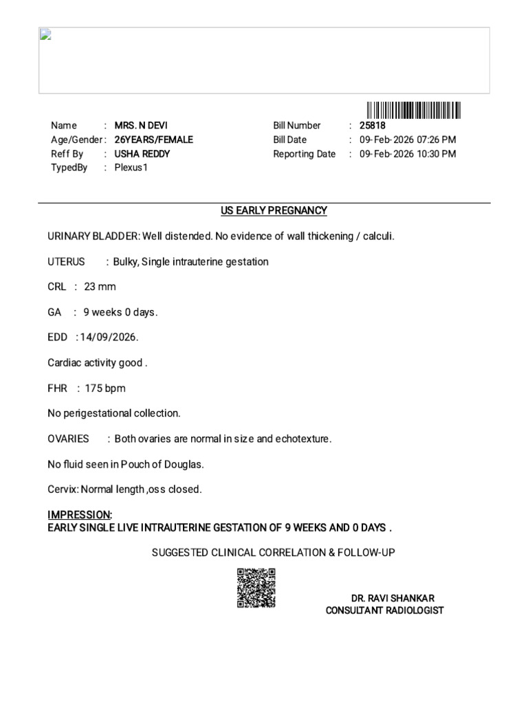 Report View | PDF