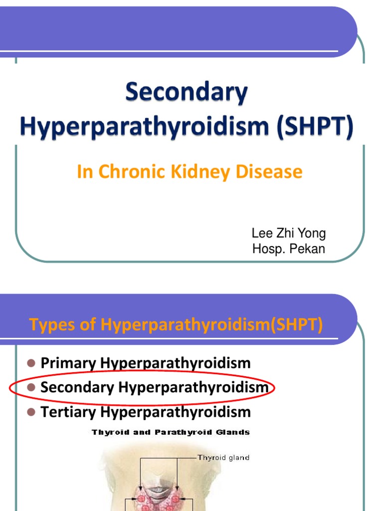Secondary Hyperparathyroidism in CKD | Chronic Kidney Disease | Vitamin ...