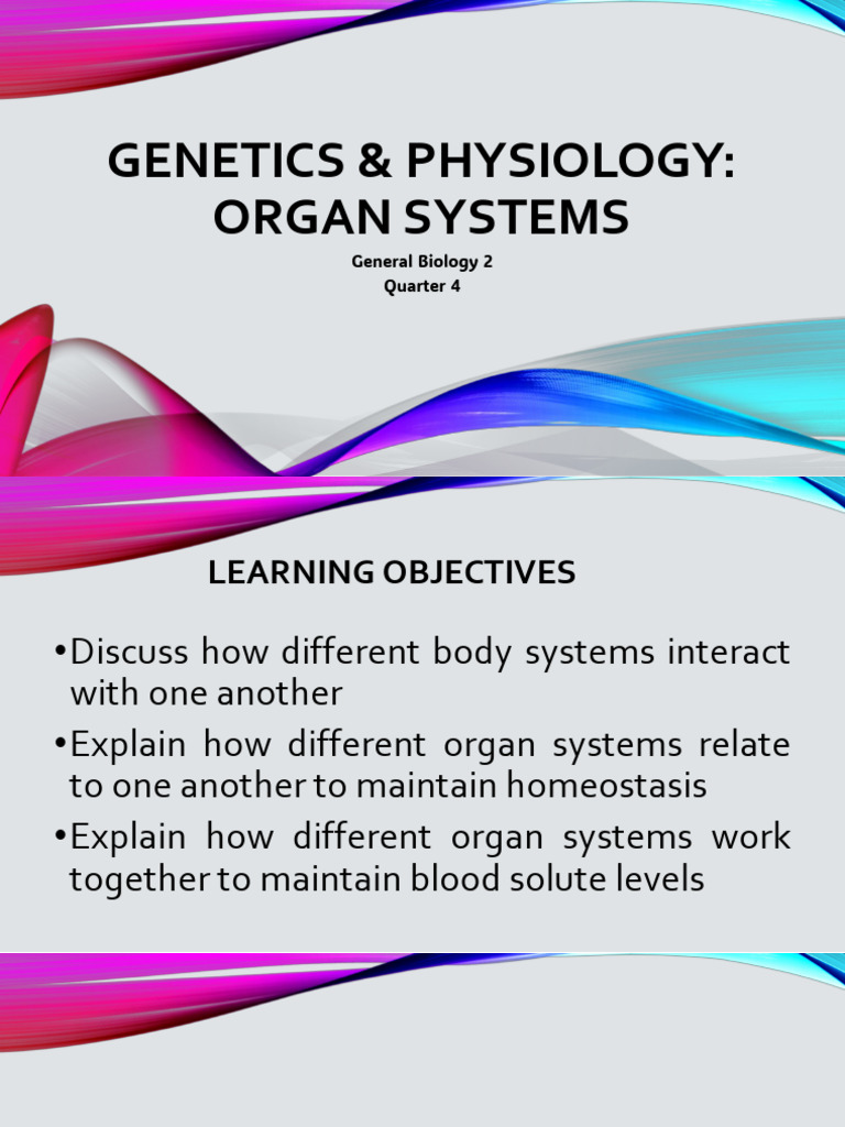 Organ Systems | PDF | Homeostasis | Human Body