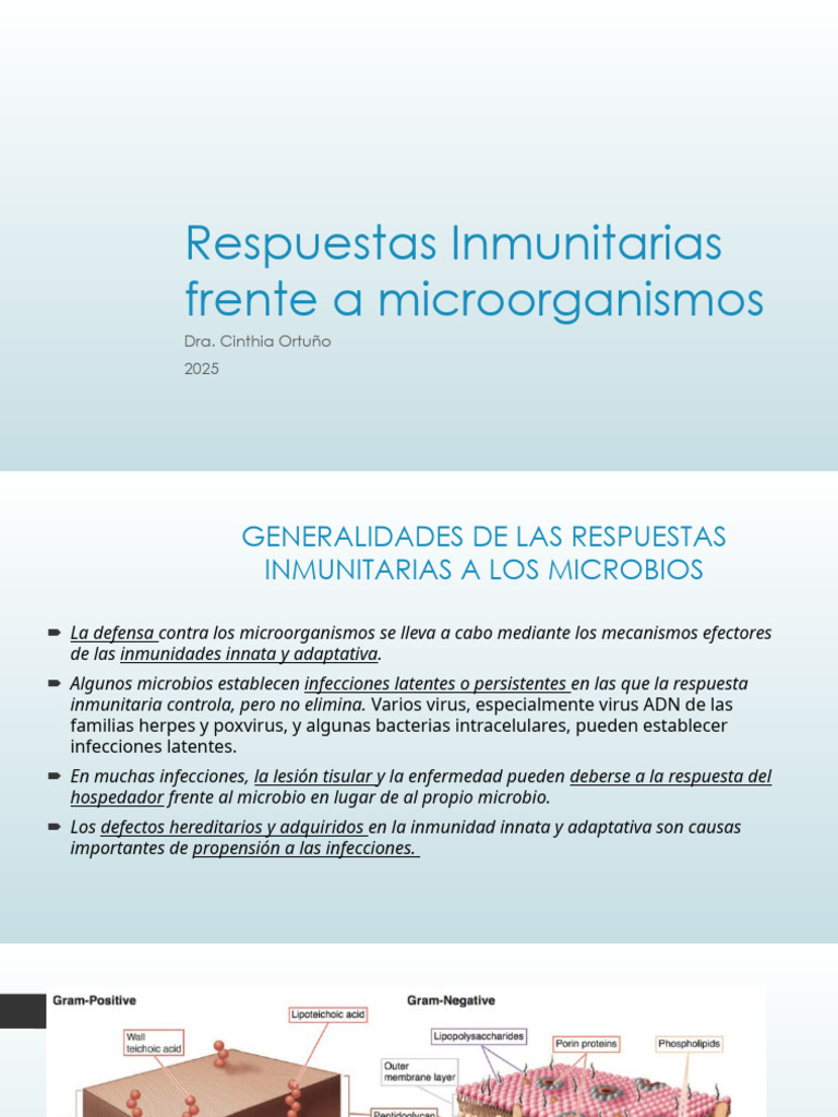 9 Reacion a Bacteri Virus Hon | PDF | Sistema inmune | Fagocito