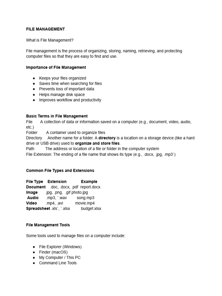 File Management | PDF