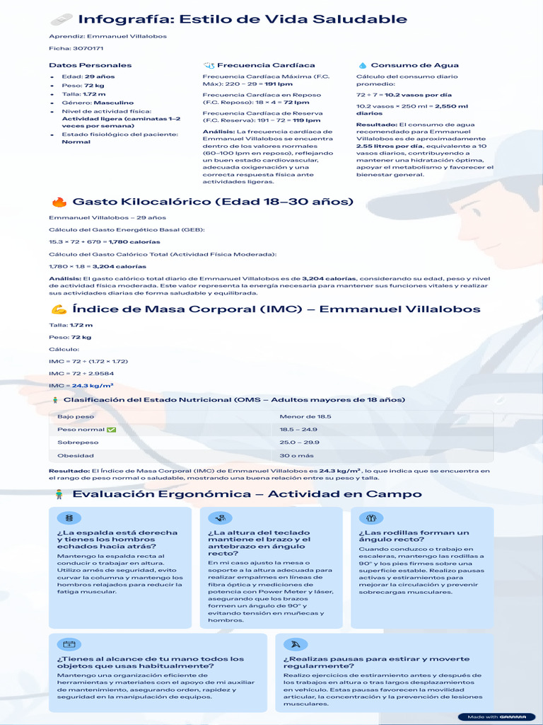 Infografia Estilo de Vida Saludable EMMANUEL VILLALOBOS (1) | PDF ...