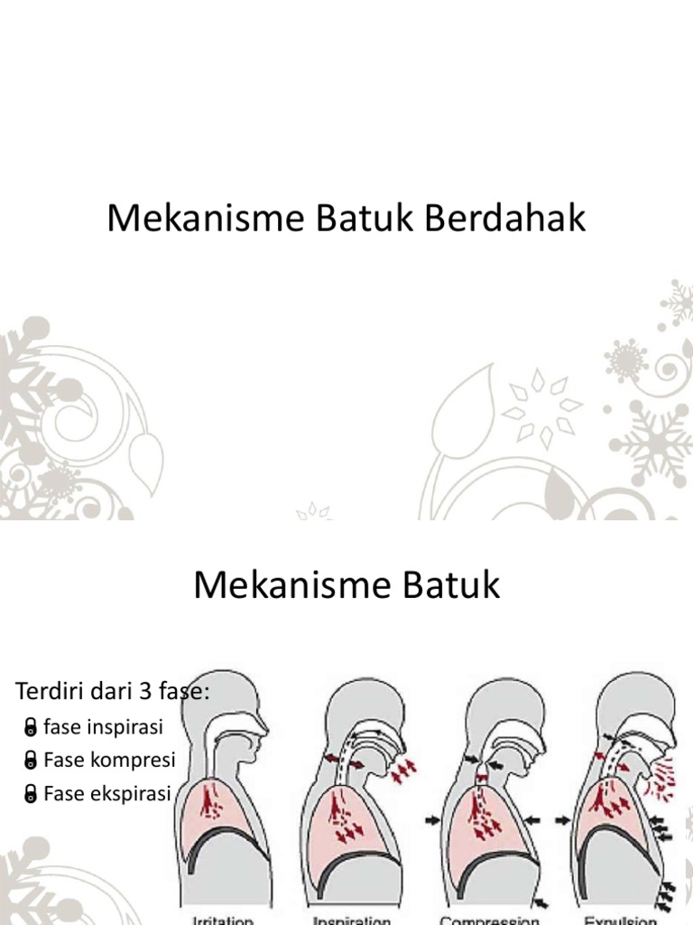 P2 - Mekanisme Batuk Berdahak | PDF
