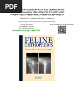 Feline Tarsal Injury Management | PDF | Anatomical Terms Of Location ...