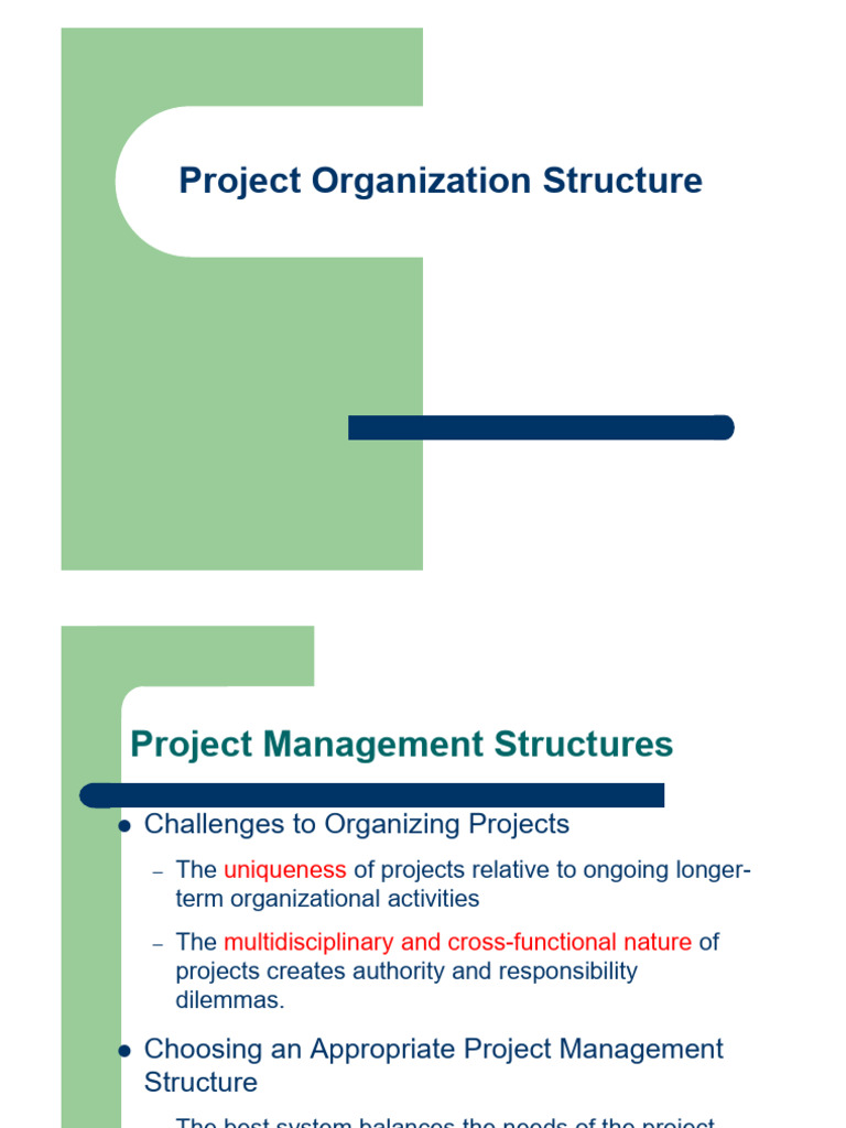 3 Project Organization Structure | PDF | Organizational Culture ...
