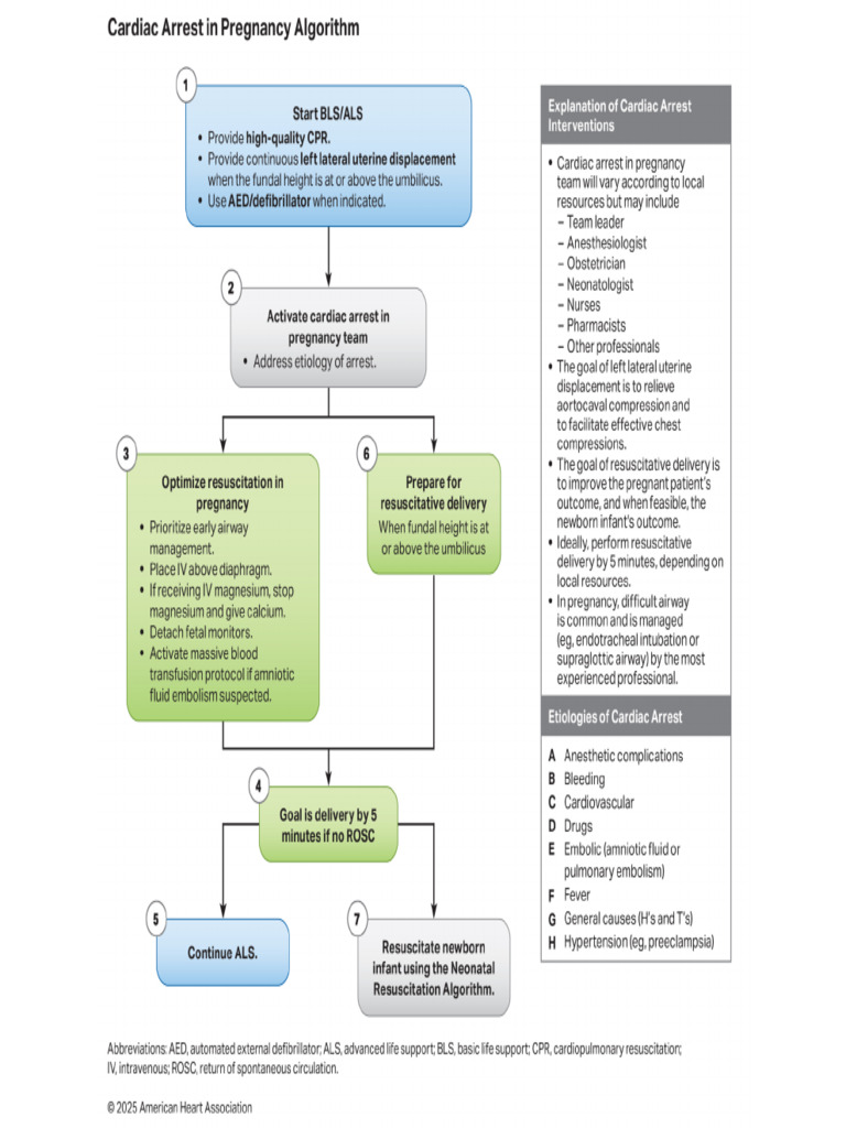 Algorithm-ACLS CA in Pregnancy WNos | PDF