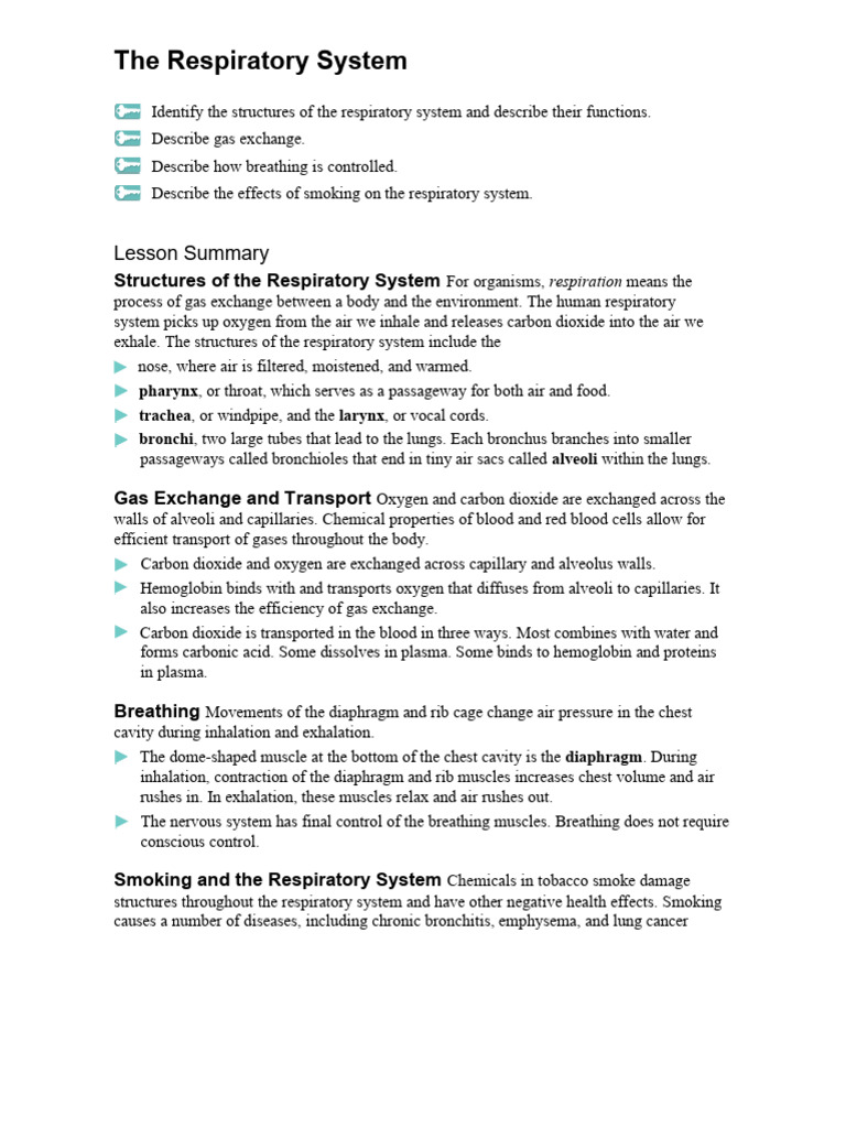 The Respiratory System - Review HW 1 | PDF | Respiratory System | Breathing