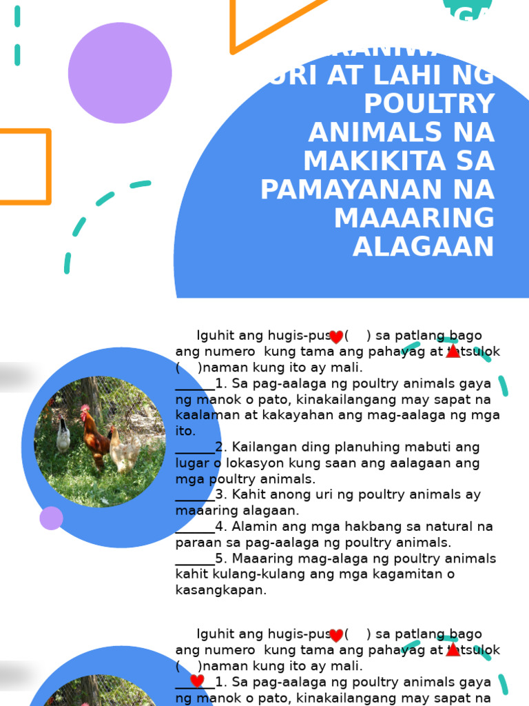 Mga Karaniwang Uri at Lahi NG Poultry Animals | PDF