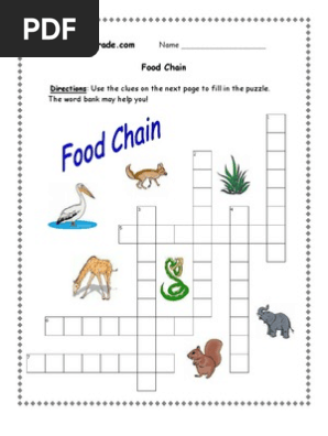 Food Chain Worksheets For Grade 3