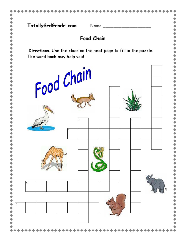 3rd Grade - Food Chain Worksheet | PDF