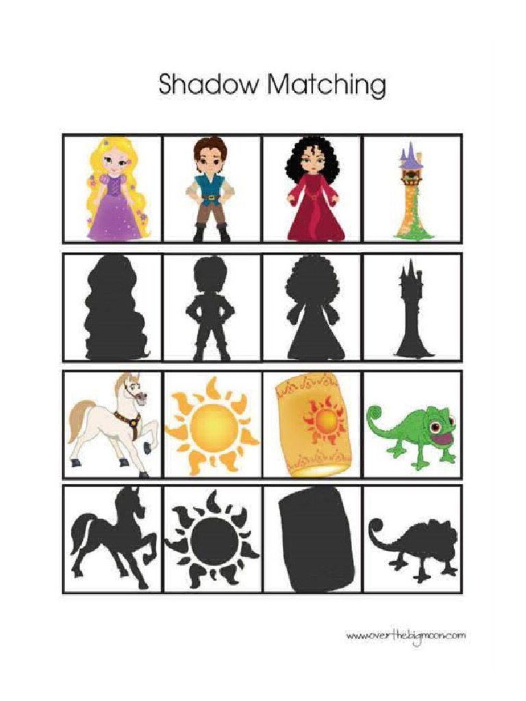 Shadow Matching | PDF