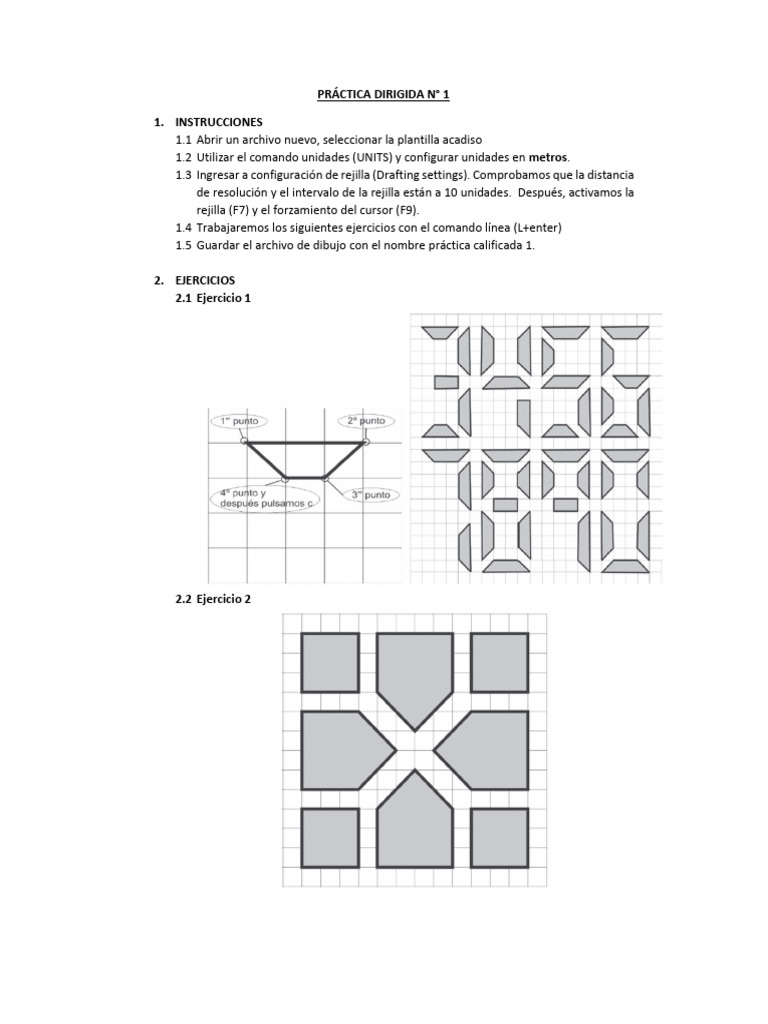 Practica Dirigia 1 | PDF