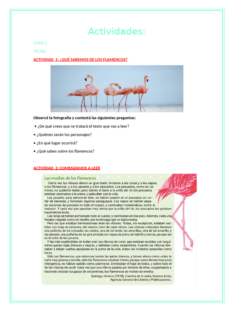 Sec Las Medias de Los Flamencos Páginas | PDF | Palabra | Puntuación