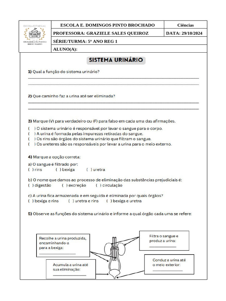 At Sistema Urinário | PDF