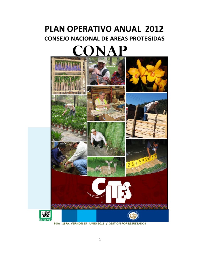 Poa Conap (Ejemplo) | PDF | Desarrollo sostenible | Planificación