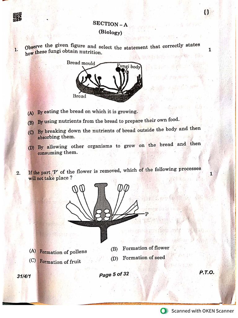 Sci | PDF