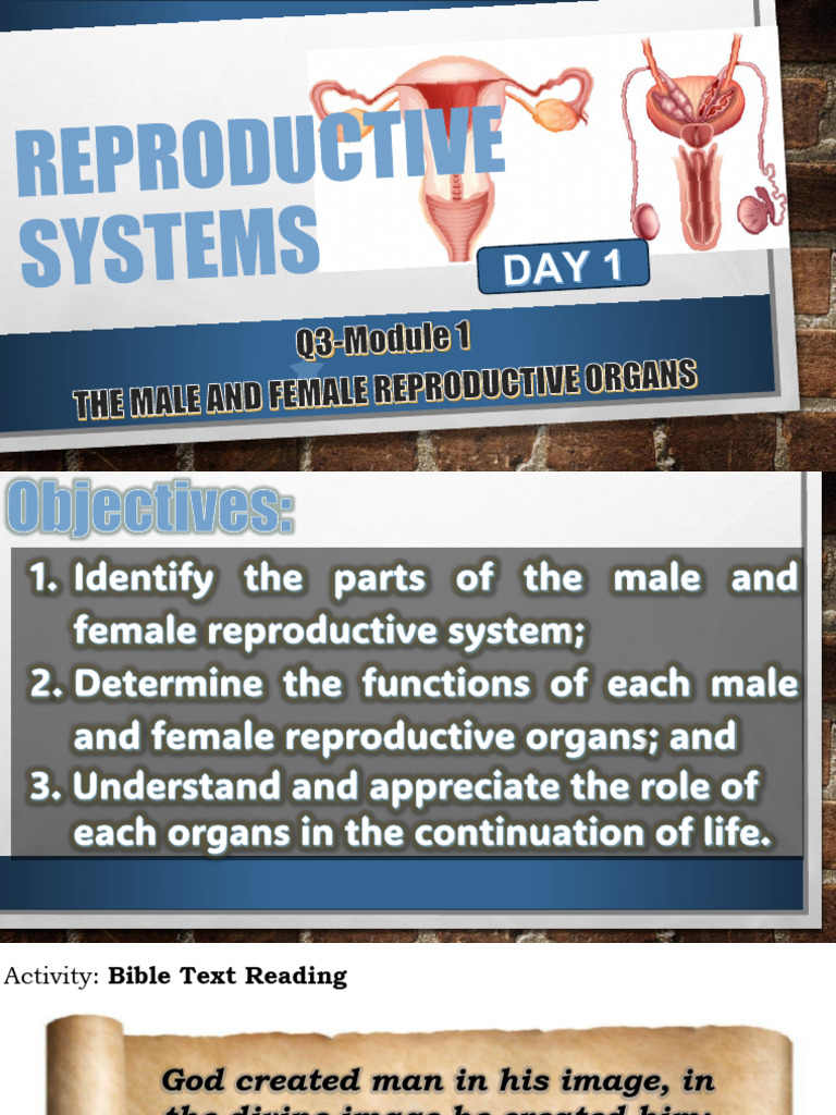 Q3 M1 Male and Female Reproductive System | PDF | Luteinizing Hormone ...