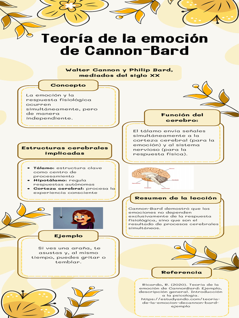 Teorías Que Explican La Emoción. | PDF | Las emociones | Estrés (biología)