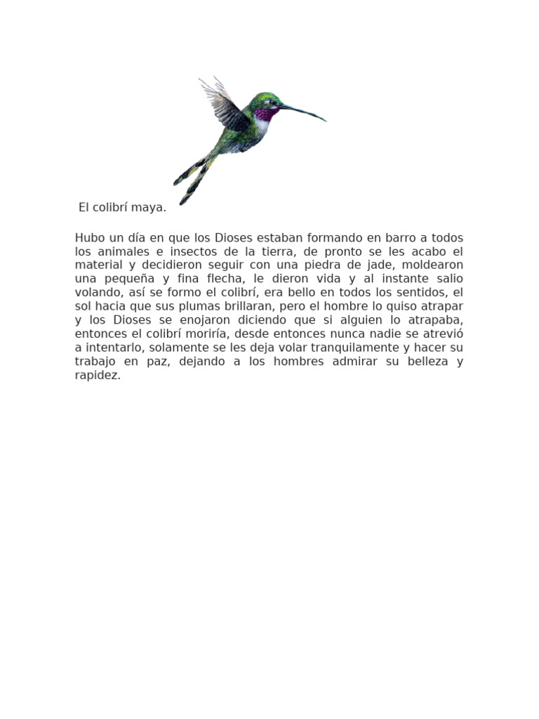 El colibrí maya | PDF | Civilización maya | Mesoamérica