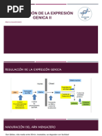 Splicing: Procesos y Tipos | PDF | Rna Splicing | Messenger Rna