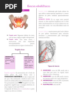 Tipos de Pelve e Suas Características | PDF