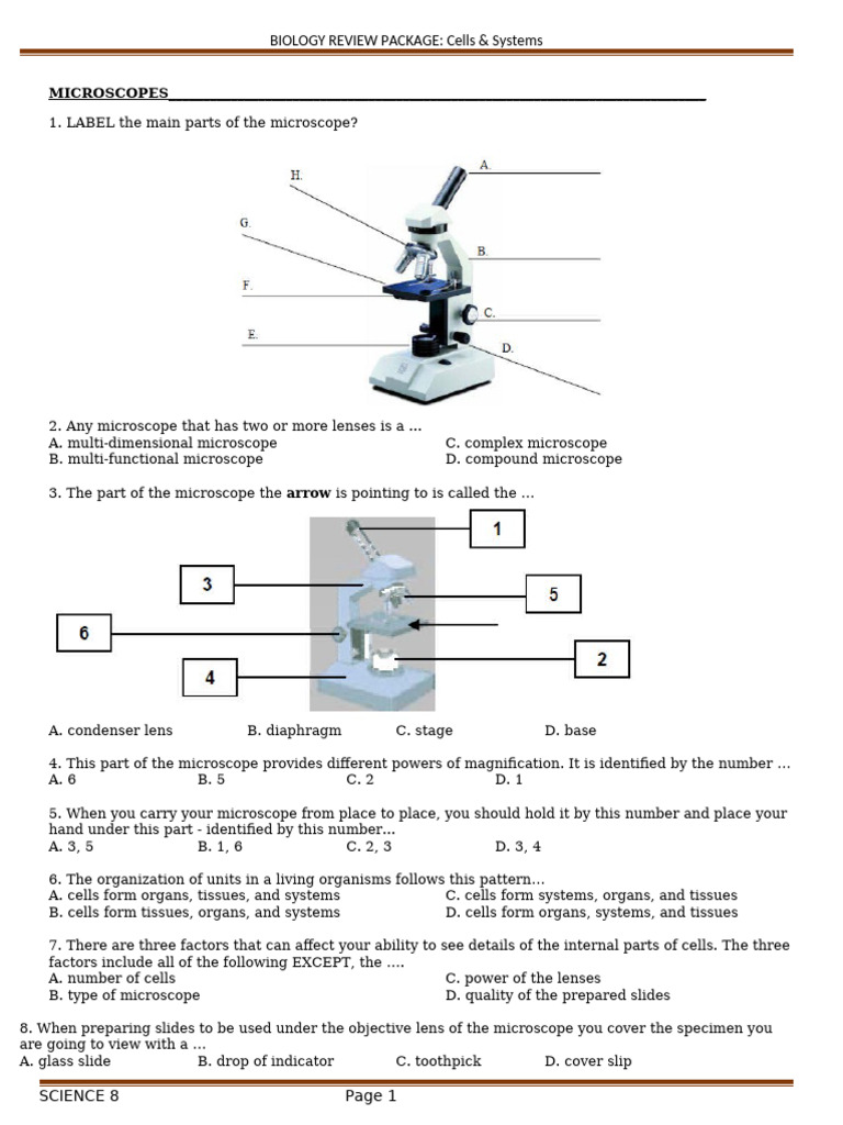 Review Biology Cells Systems | PDF | Immune System | Cell (Biology)
