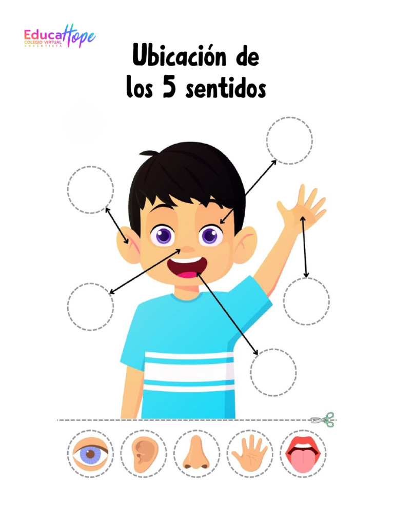 Ubicación de Los 5 Sentidos | PDF