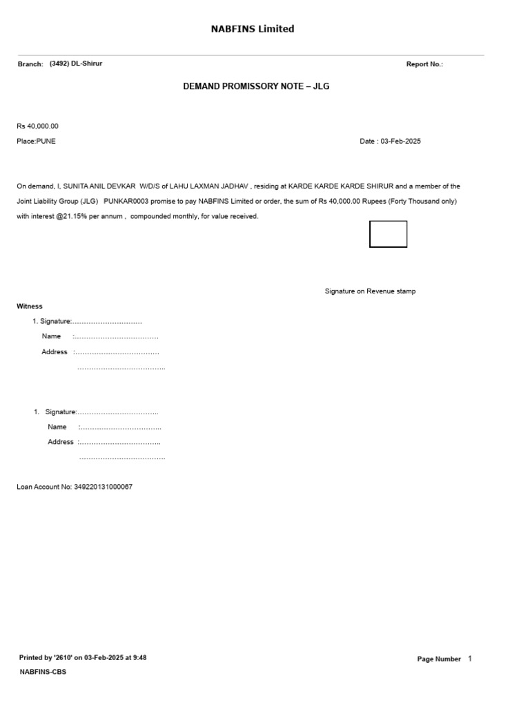 Demand Promissory Note - JLG: NABFINS Limited | PDF