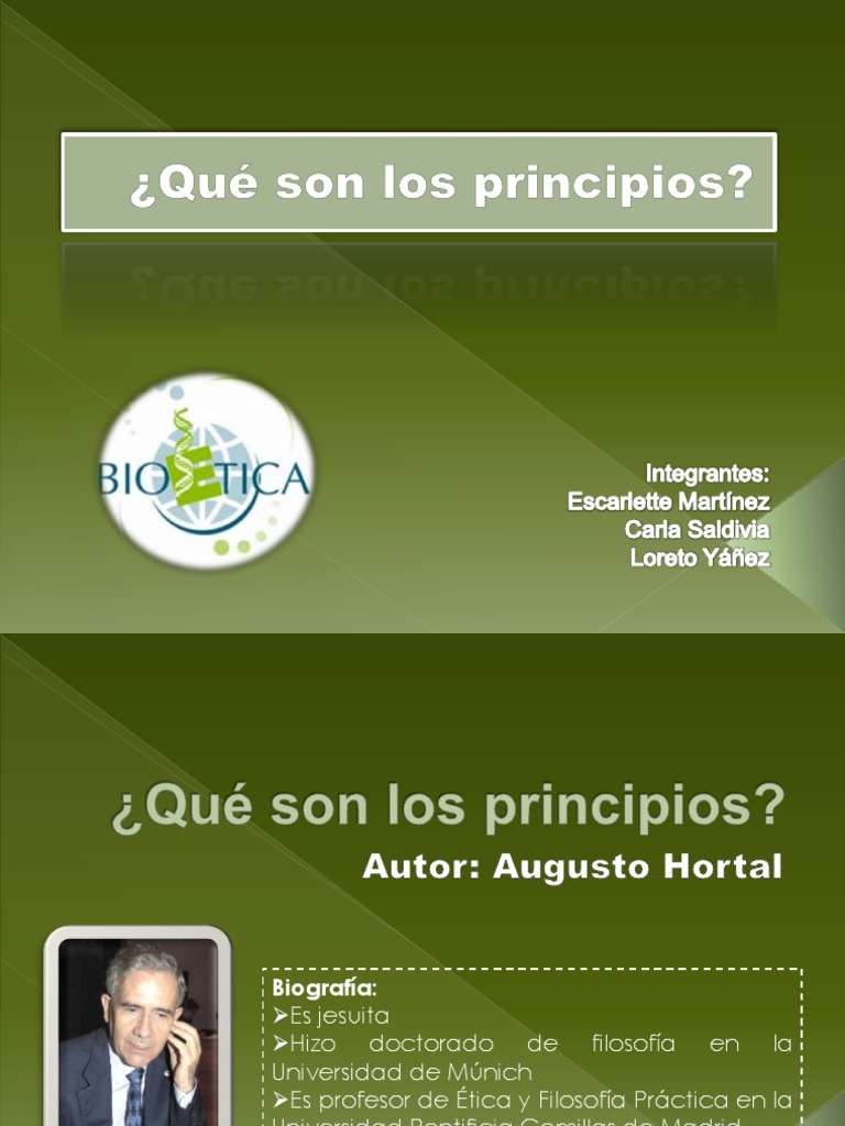 Qué Son Los Principios | PDF