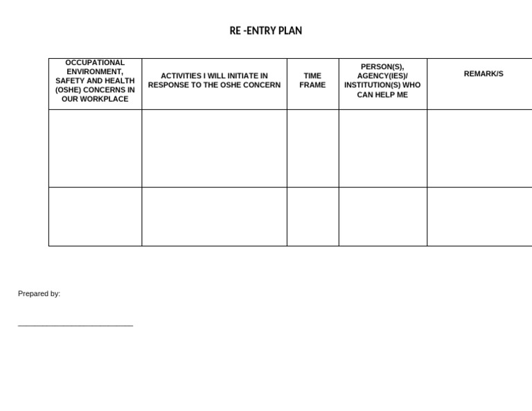 Re Entry Plan (SAMPLE) | PDF
