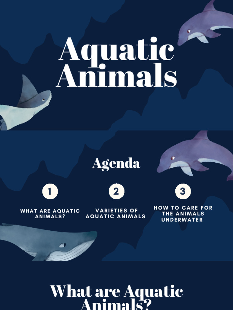 Aquatic Animals Presentation | PDF