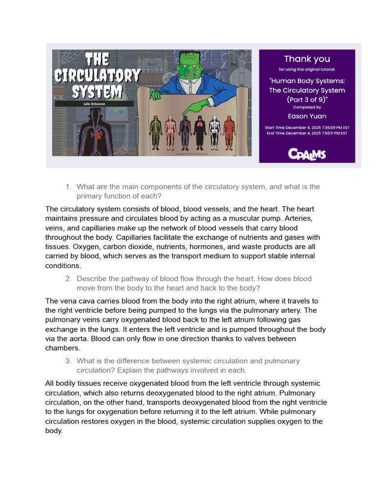 The Circulatory System | PDF | Circulatory System | Blood