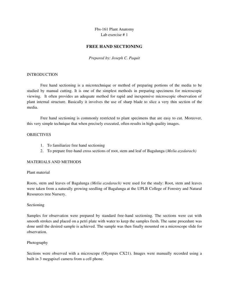 Plant Anatomy - Free Hand Sectioning | PDF