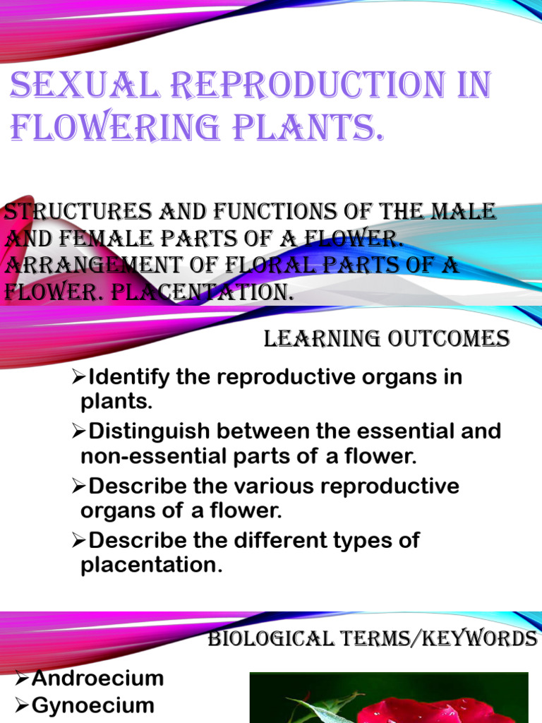 Slides On Sexual Reproduction in Flowering Plants | PDF | Flowers | Petal