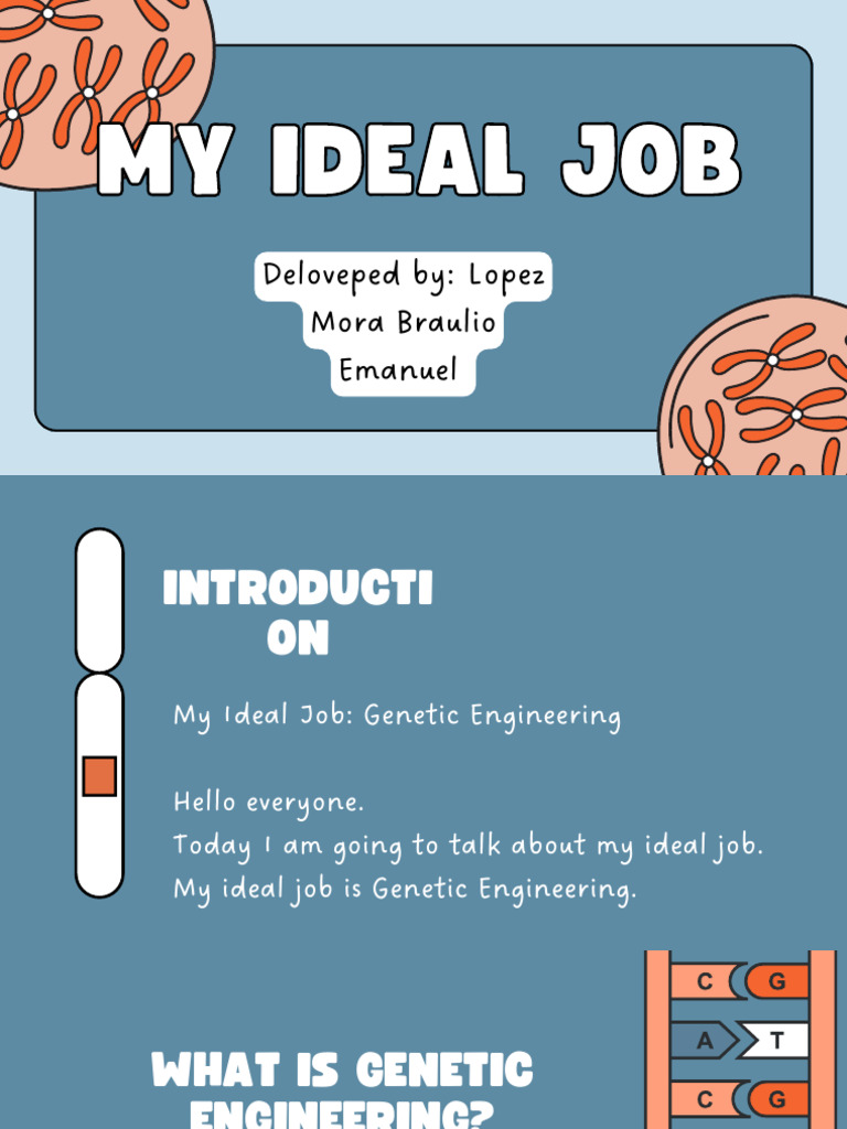 Ideal Job | PDF