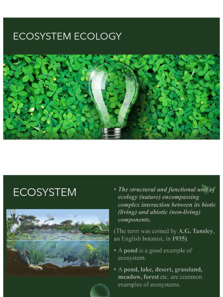 Bio-10th Grade-Ecosystem Ecology-Cycles | PDF | Ecosystem | Nutrition