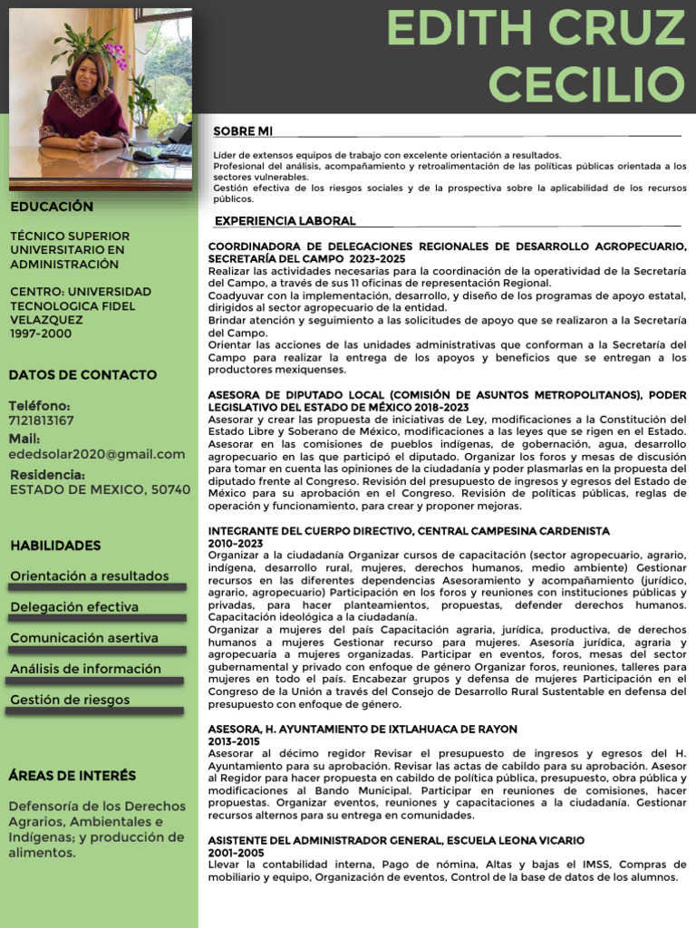 CV Ecc 2025-1 | PDF | Gobierno local | México