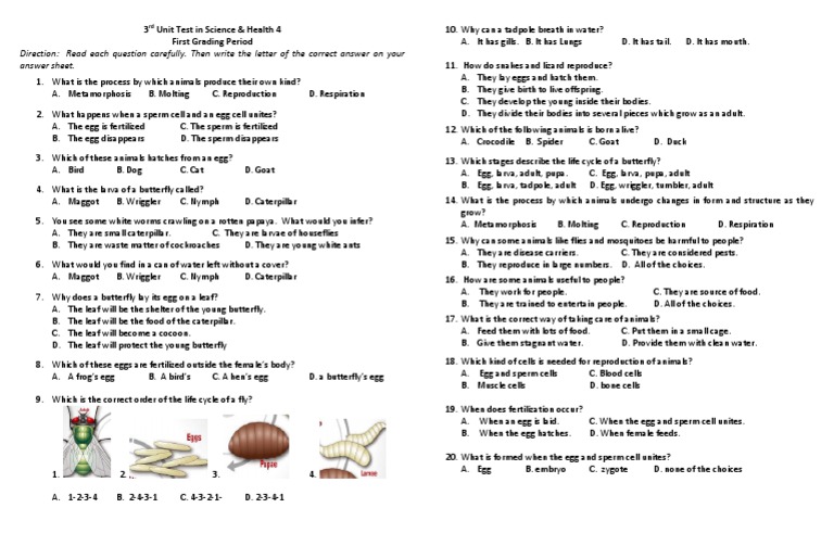 3rd Unit Test in Science | PDF | Egg | Butterfly