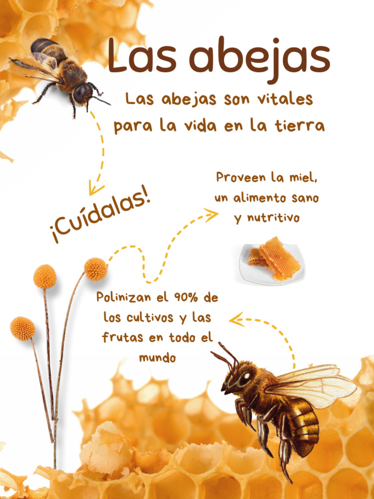 Póster de Las Abejas Ilustrativo Amarillo_20250819_132032_0000 | PDF